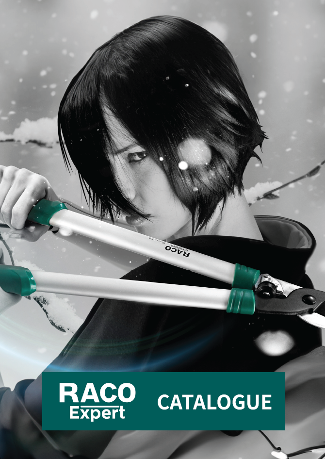 Product Brochure | Cachet